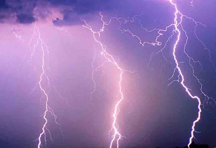 ¿Cómo podemos proteger los electrodomésticos y aparatos electrónicos en ...