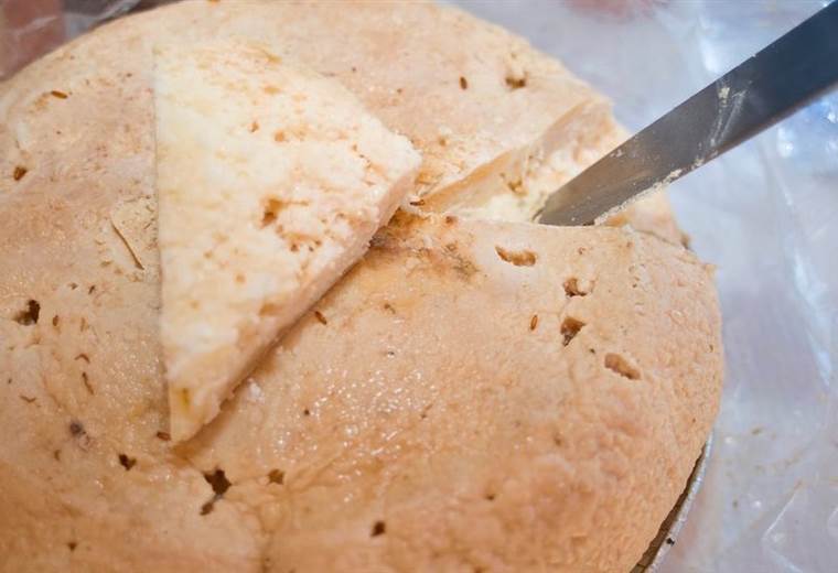 ¿Queso con larvas de moscas? 5 exquisiteces del mundo que quizás usted ...