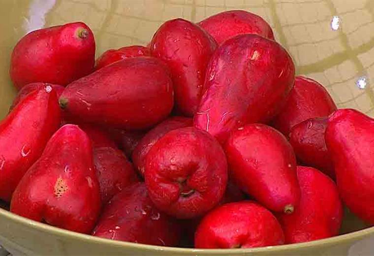 Conozca los beneficios de la manzana de agua | Teletica