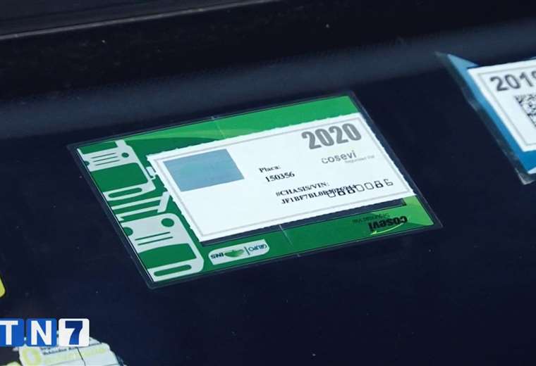 ¿Sabe cómo pegar el marchamo correctamente? | Teletica