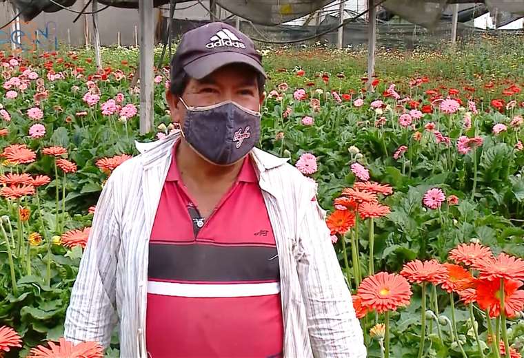 “Chucho” nació para trabajar con flores | Teletica
