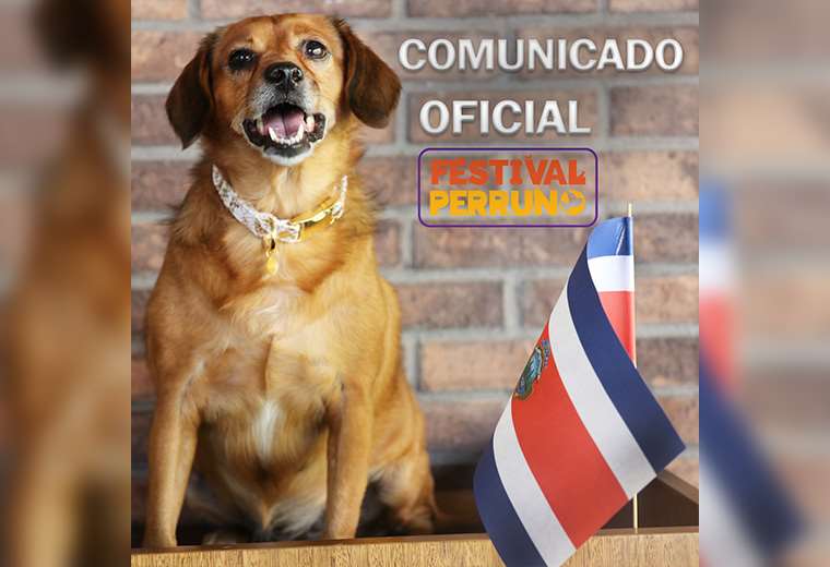 ¡Aproveche el fin de semana para asistir al Festival Perruno 2022 ...