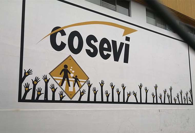 Contraloría ordena a Cosevi continuar con concurso para inspección ...