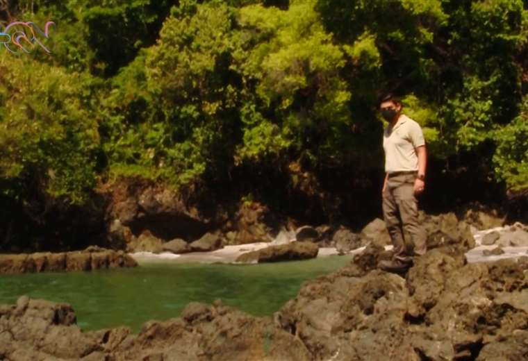 480 guardaparques protegen 162 áreas silvestres en Costa Rica | Teletica