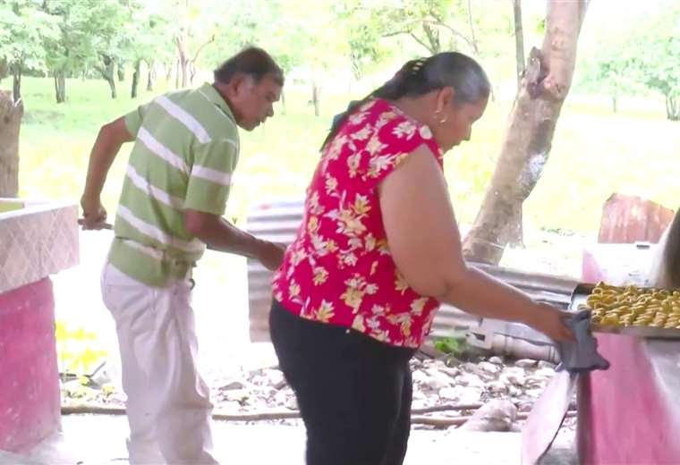 Conozca cómo se preparan las rosquillas y tanelas guanacastecas | Teletica
