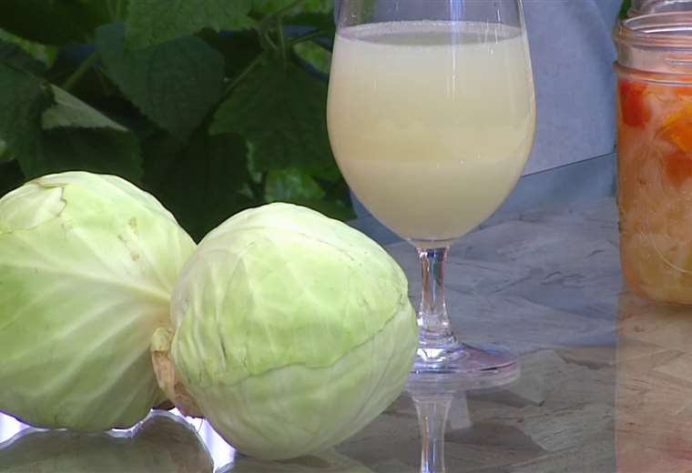 Descubra los beneficios del repollo | Teletica