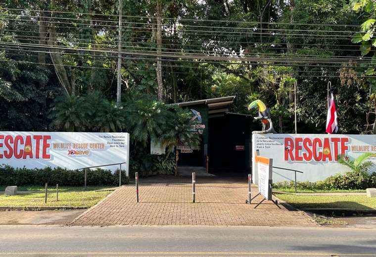 Felino ataca a cuidadora del centro de rescate Zoo Ave | Teletica